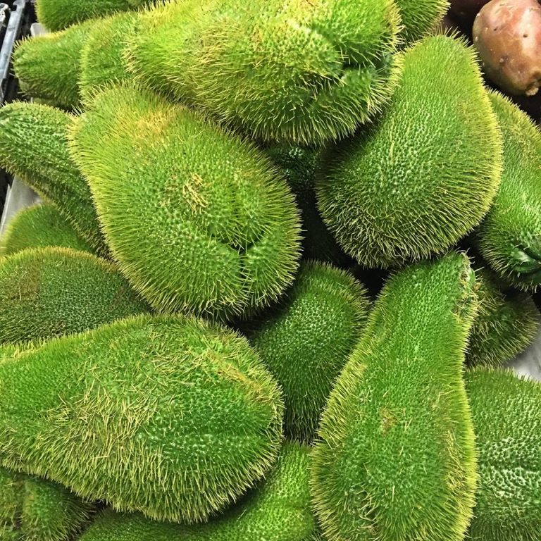 Mexican Chayote - Pete's Fruit Market